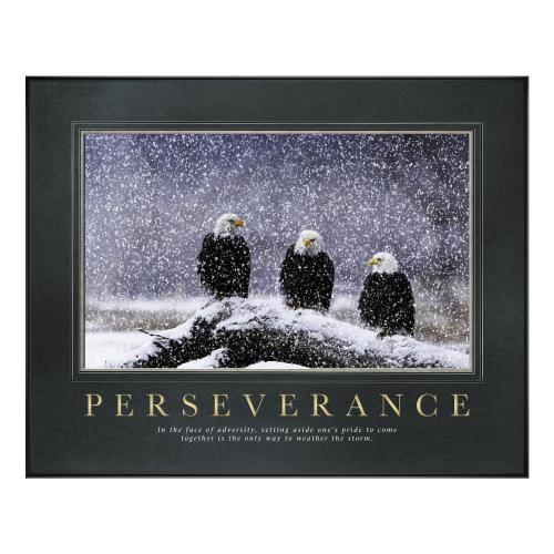 Motivational Posters | Perseverance Eagles Motivational Poster