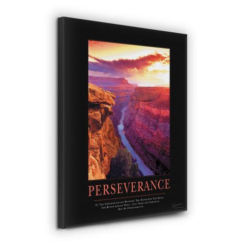 Perseverance Posters