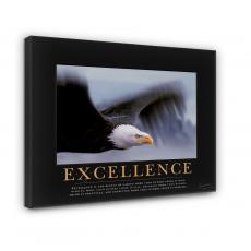 Excellence Themed Gifts | Executive & Employee Gifts | Successories